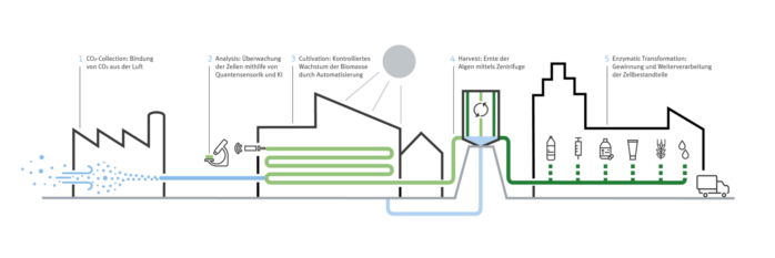 BionicCellFactory: Wie mit Automatisierungstechnik Algen zu Klimarettern werden